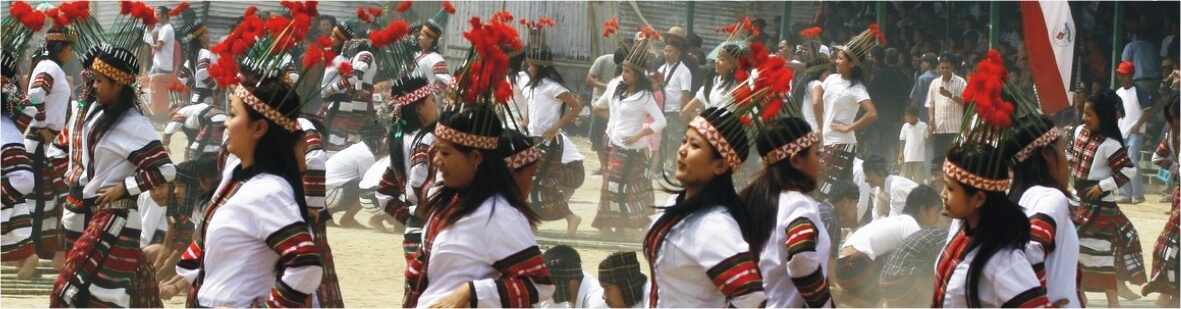 Mizoram Festivals : Anthurium Festival - Chapchar Kut and Christmas